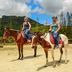 Mauritius Mauritius Adventures