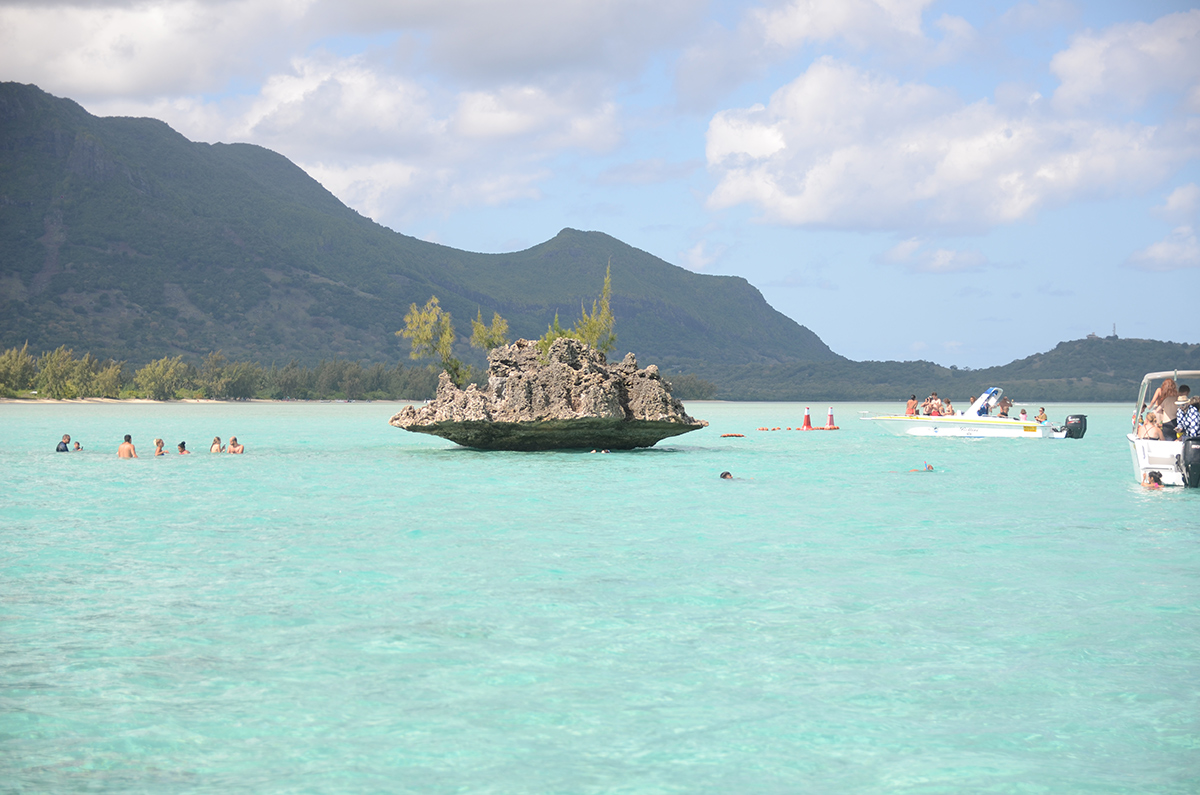 Mauritius: Swimming with the Dolphins - Full Day - Mauritius